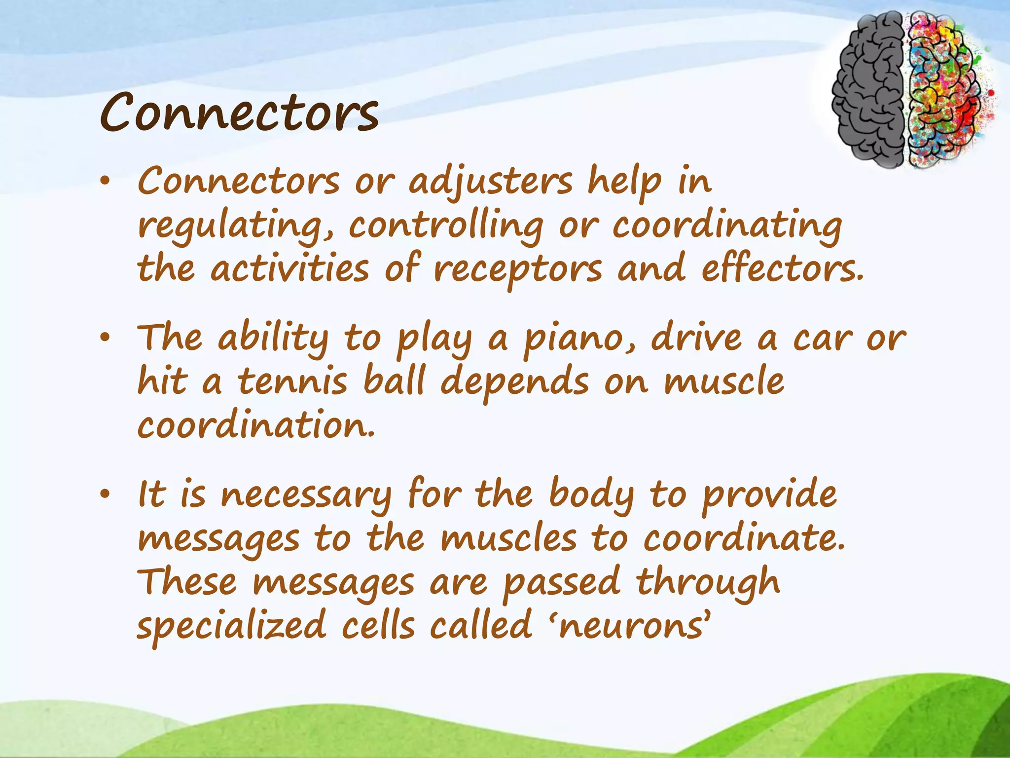 Unit 2 biology of behaviour | PDF