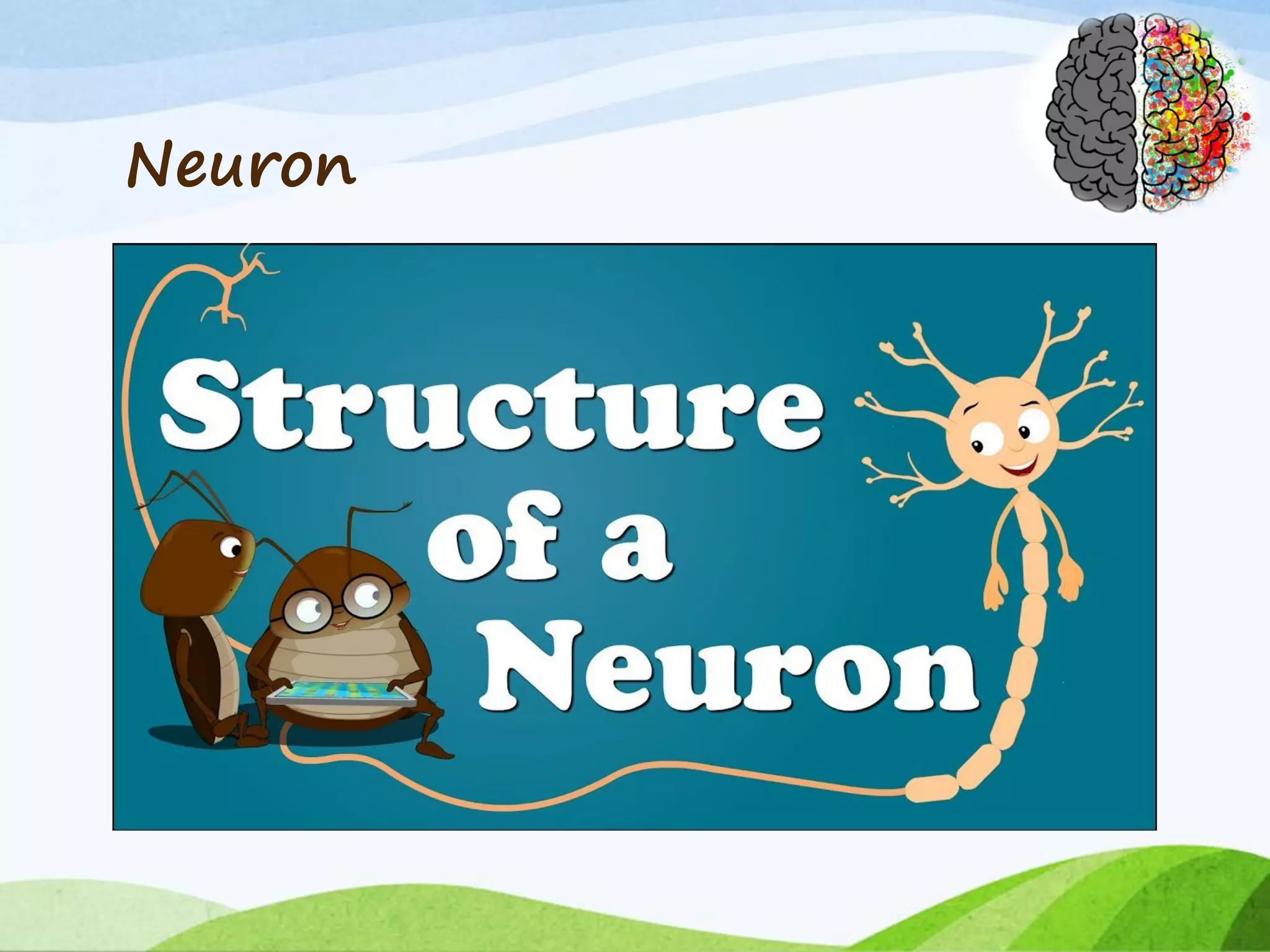 Unit 2 biology of behaviour | PDF