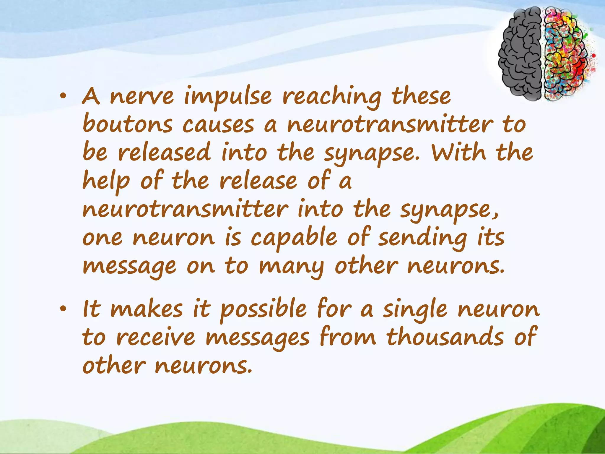 Unit 2 biology of behaviour | PDF