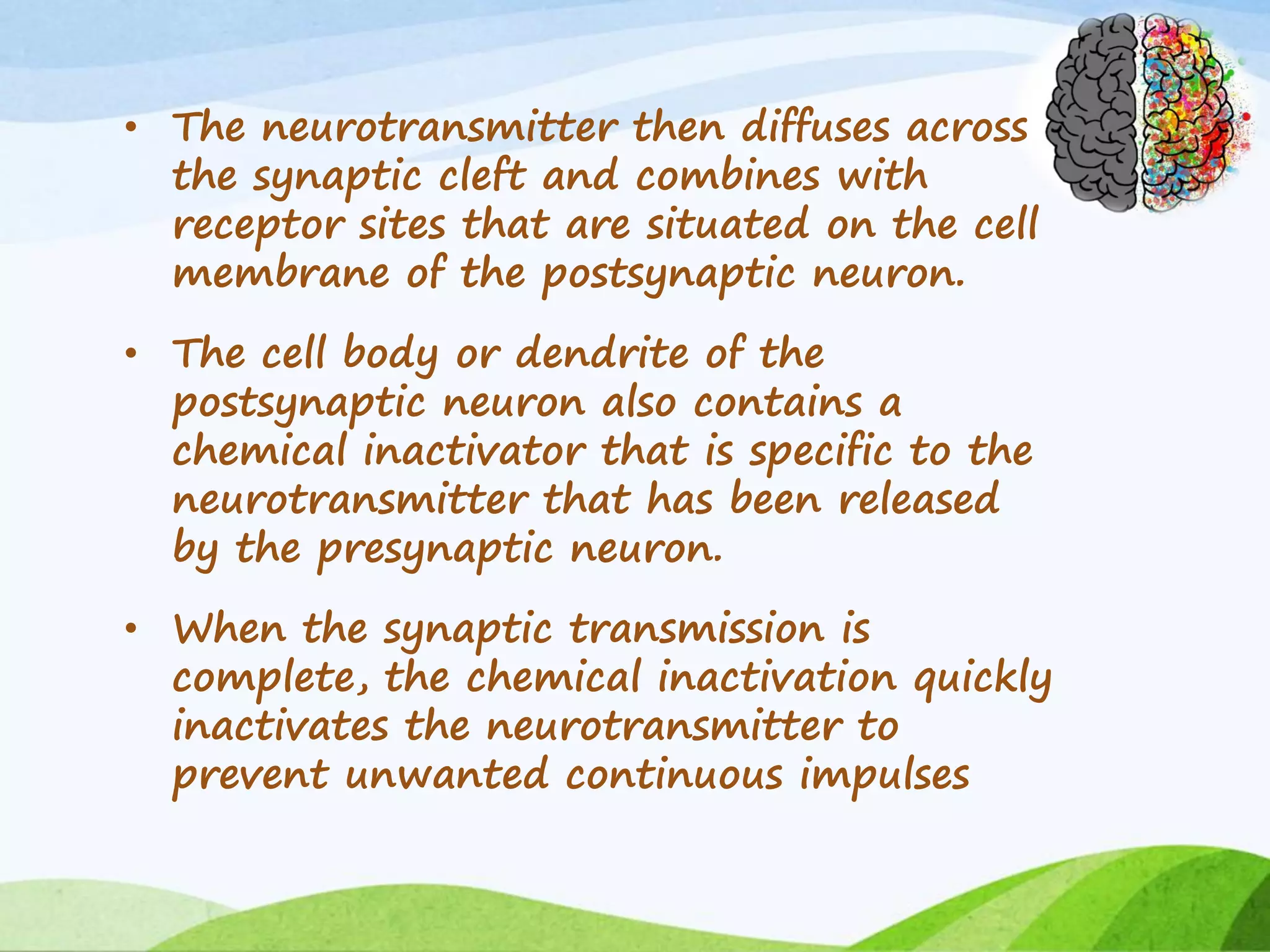 Unit 2 biology of behaviour | PDF