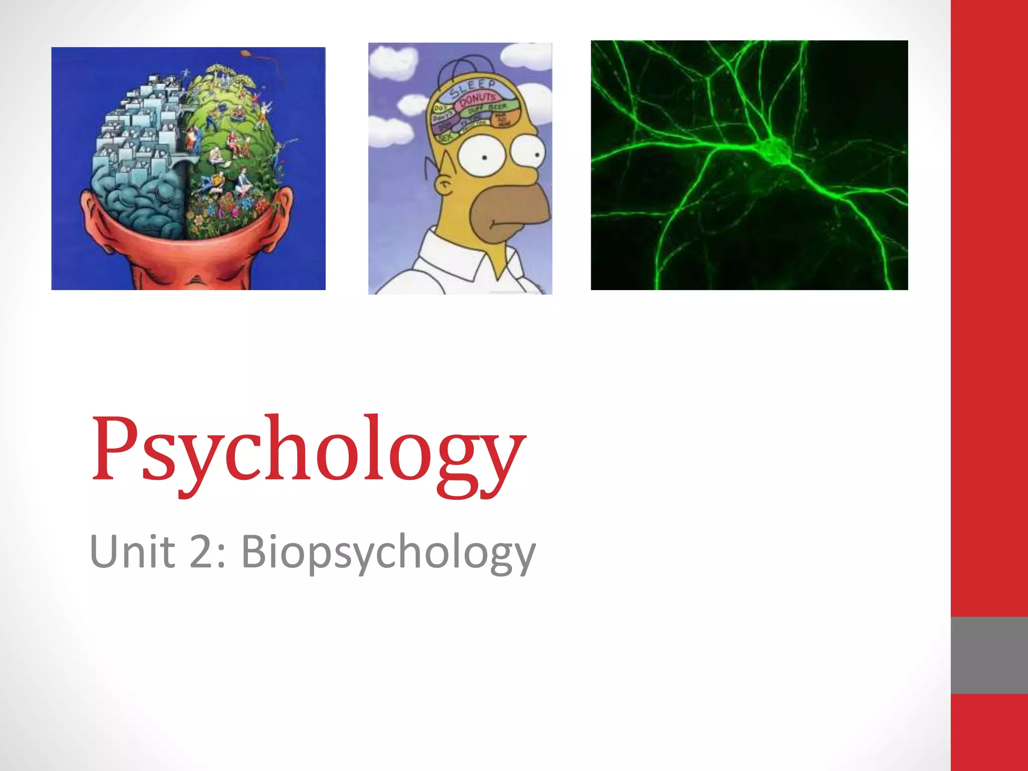 Unit2biopsychologypowerpoint 140221190939-phpapp02 | PPTX