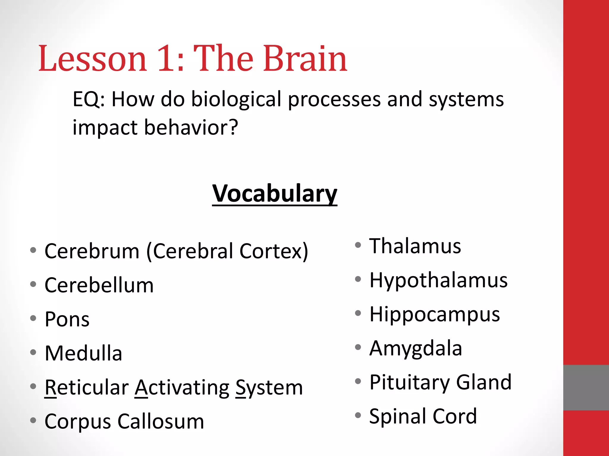 Unit2biopsychologypowerpoint 140221190939-phpapp02 | PPT