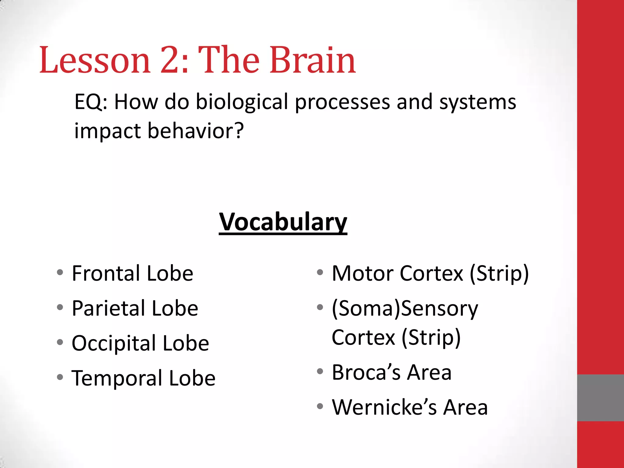 Unit 2 Biopsychology PowerPoint | PPTX