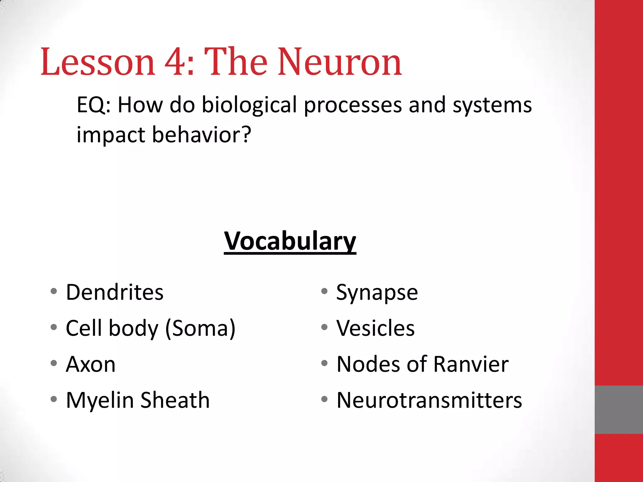 Unit 2 Biopsychology PowerPoint | PPTX