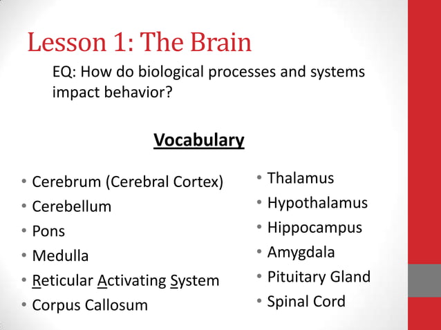Unit 2 Biopsychology PowerPoint | PPTX | Brain and Nervous System Disorders | Diseases and ...