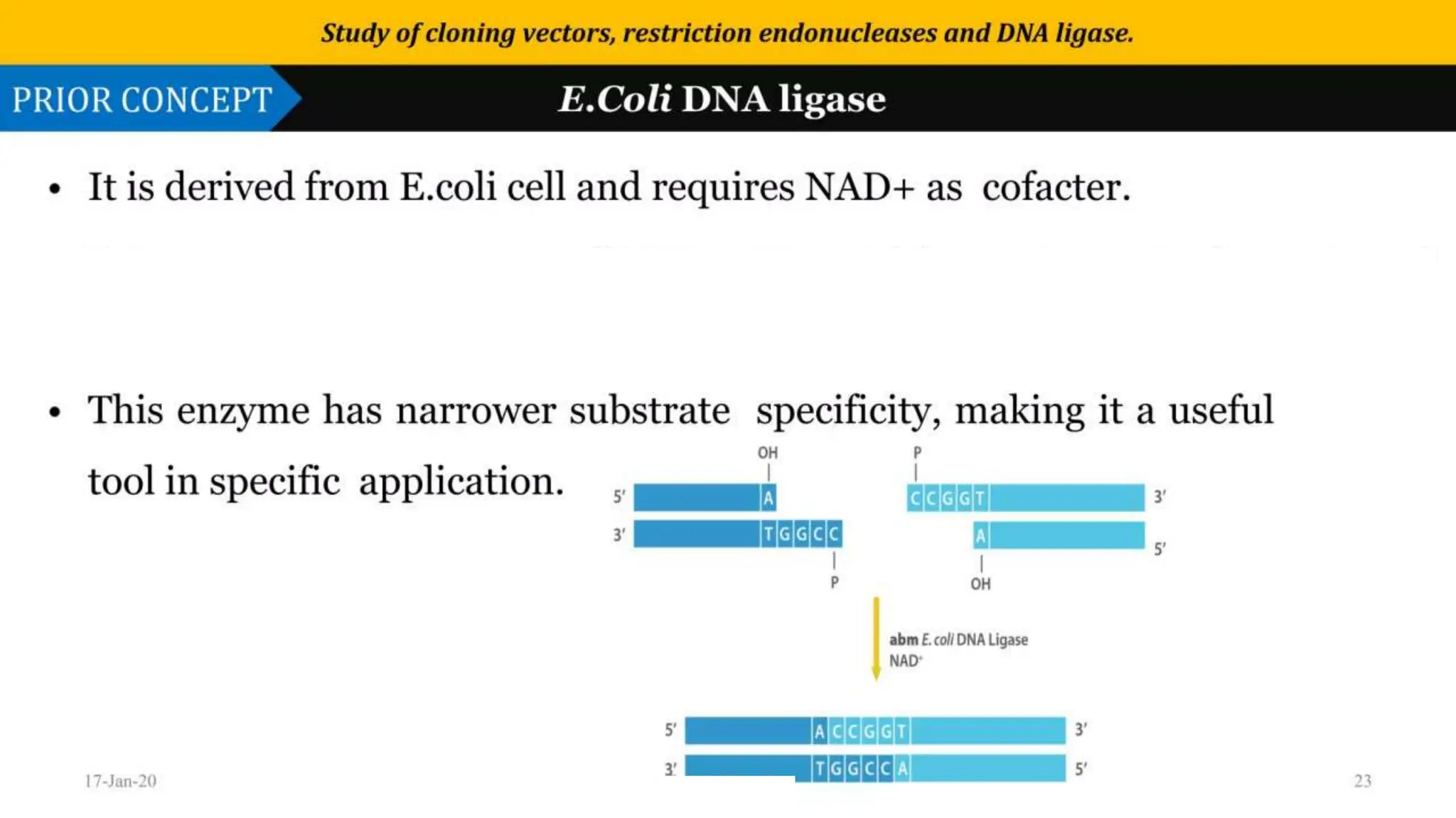 UNIT 2 BIOTECH semester 6 bpharmacy third year | PPTX