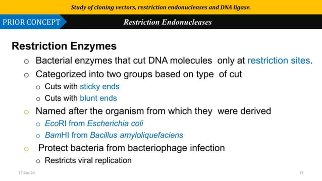 UNIT 2 BIOTECH semester 6 bpharmacy third year | PPTX | Genetics | Science