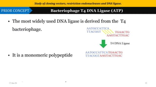 UNIT 2 BIOTECH semester 6 bpharmacy third year | PPTX