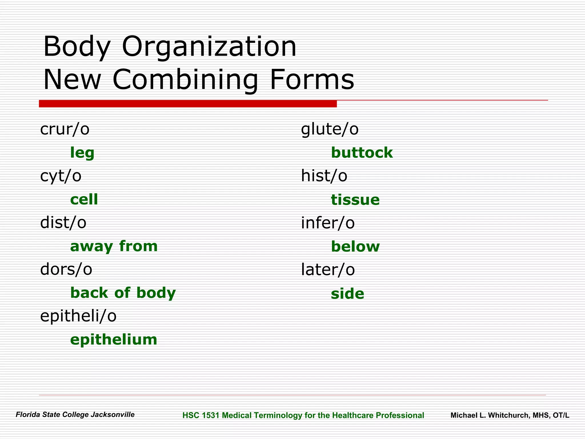 Body Organization Terminology | PPT