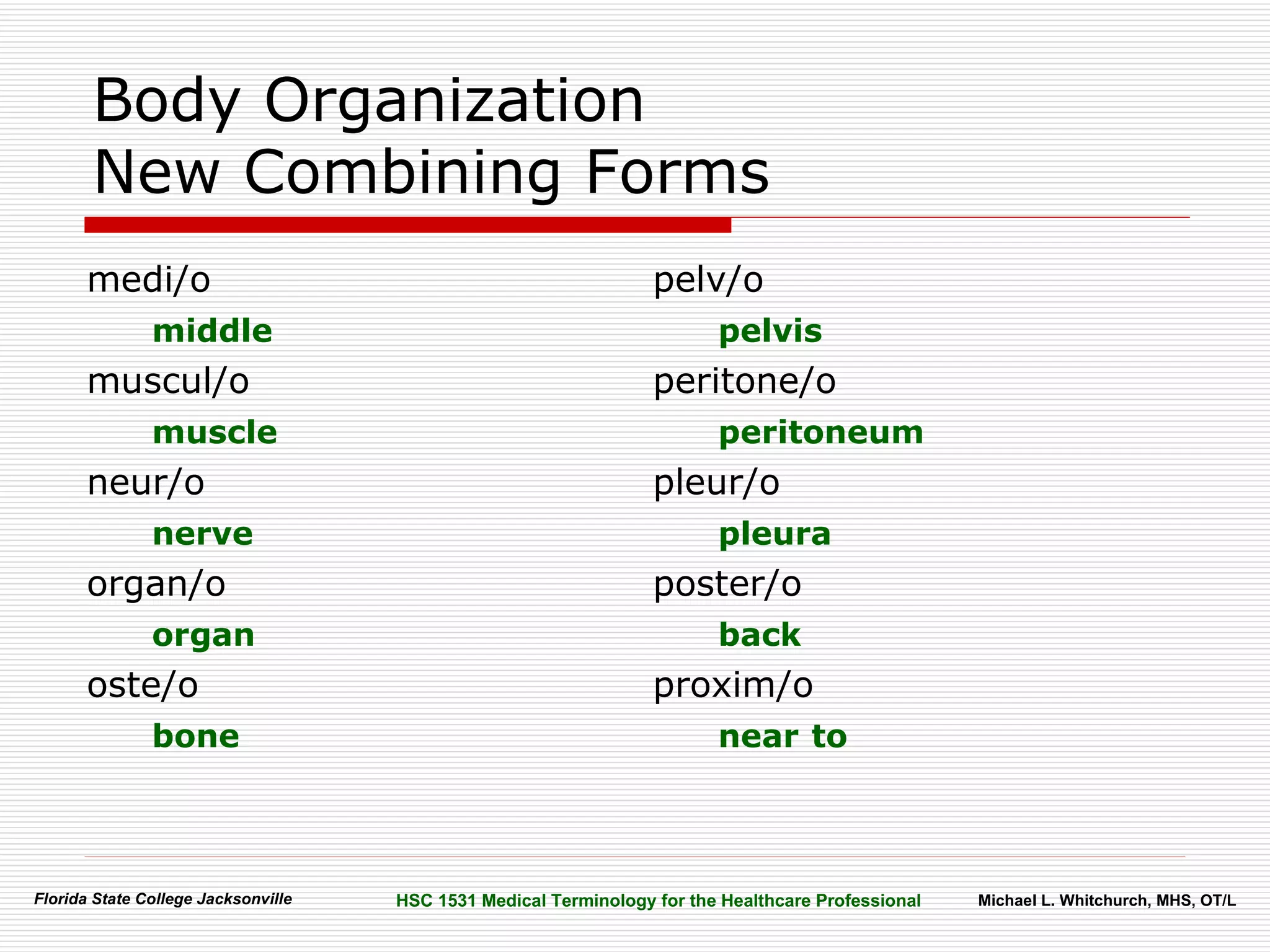 Body Organization Terminology | PPT