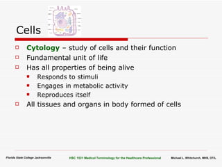 Body Organization Terminology | PPT