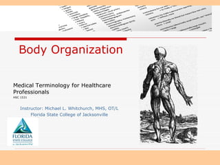 Body Organization Terminology | PPT