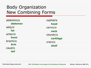 Body Organization Terminology | PPT