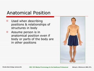 Body Organization Terminology | PPT