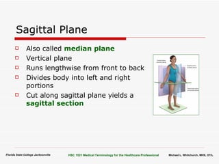 Body Organization Terminology | PPT