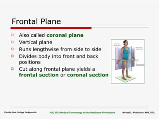 Body Organization Terminology | PPT