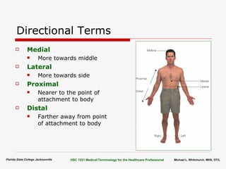 Body Organization Terminology | PPT