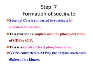 Unit 2 carbohydrate metabolism | PDF
