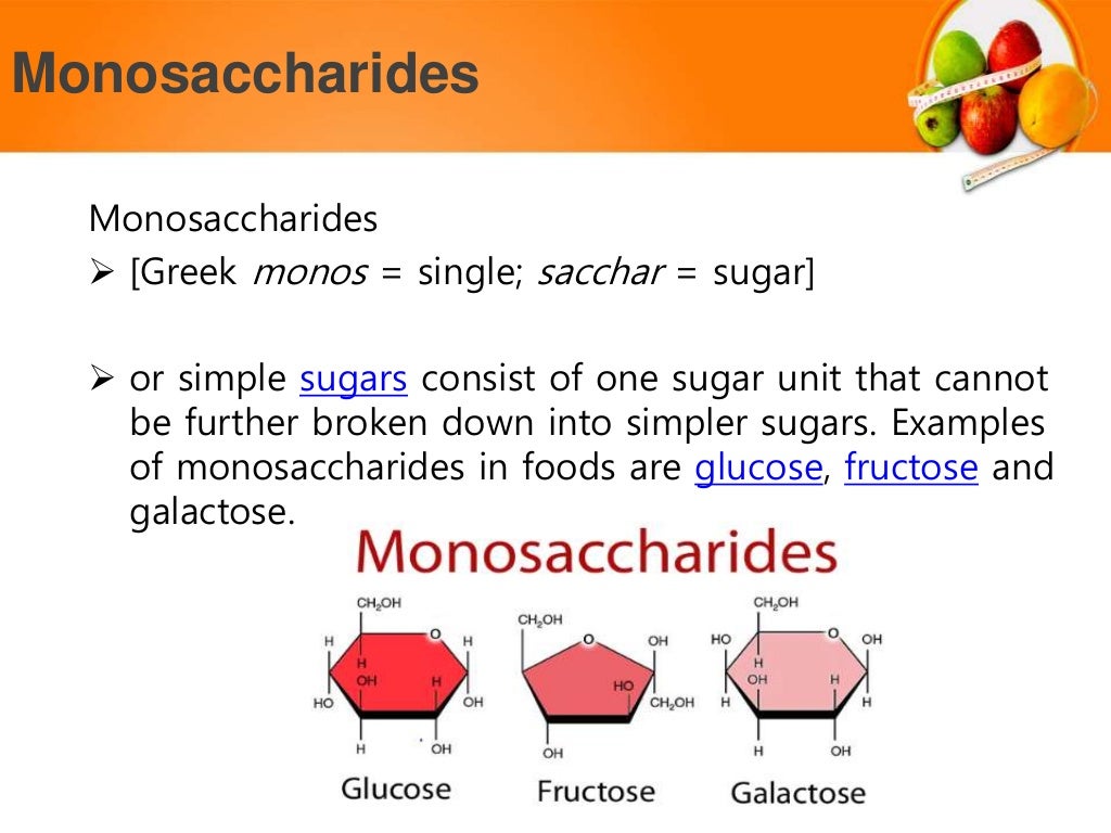Carbohydrates Function