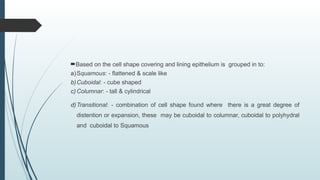 STRUCTURE OF CELL – ITS COMPONENTS AND THEIR FUNCTIONS.pptx ...