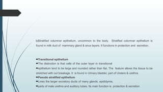 STRUCTURE OF CELL – ITS COMPONENTS AND THEIR FUNCTIONS.pptx ...