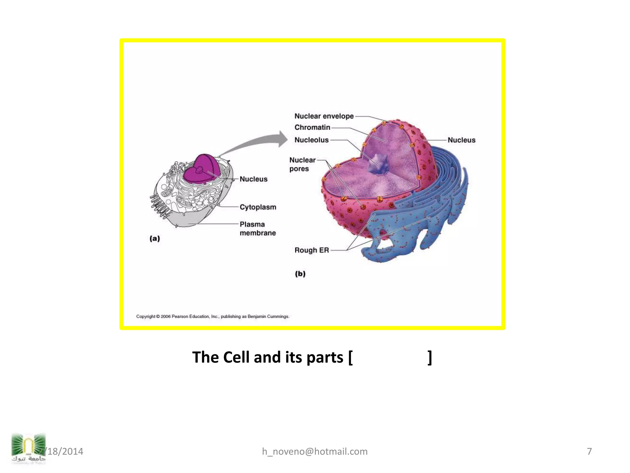 Unit 2 Cells, Tissues & Membranes | PPTX