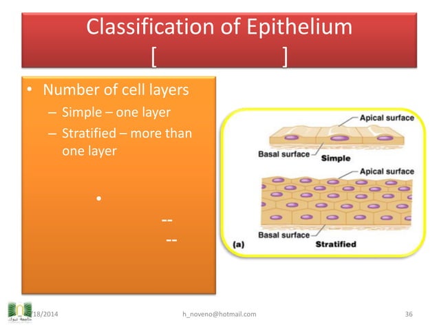 Unit 2 Cells, Tissues & Membranes | PPTX