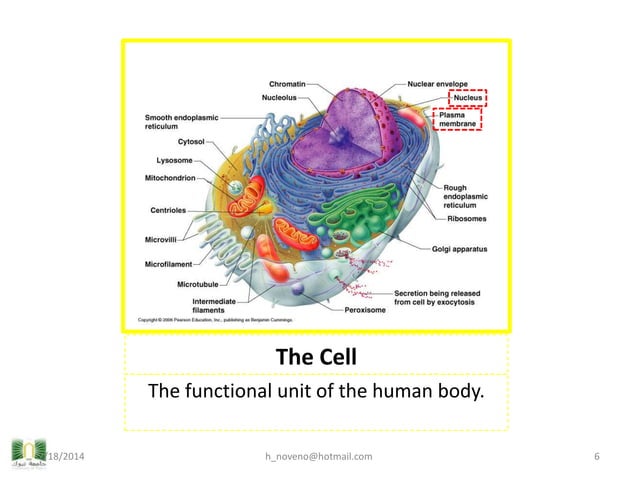 Unit 2 Cells, Tissues & Membranes | PPTX