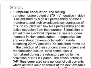 Unit 2 central nervous system | PPTX