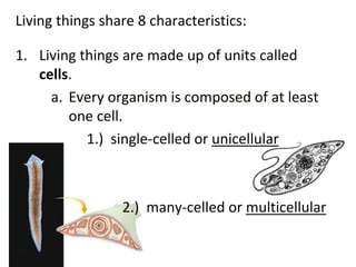 Unit 2 Characteristics of cells lesson week 7and 8.pptx