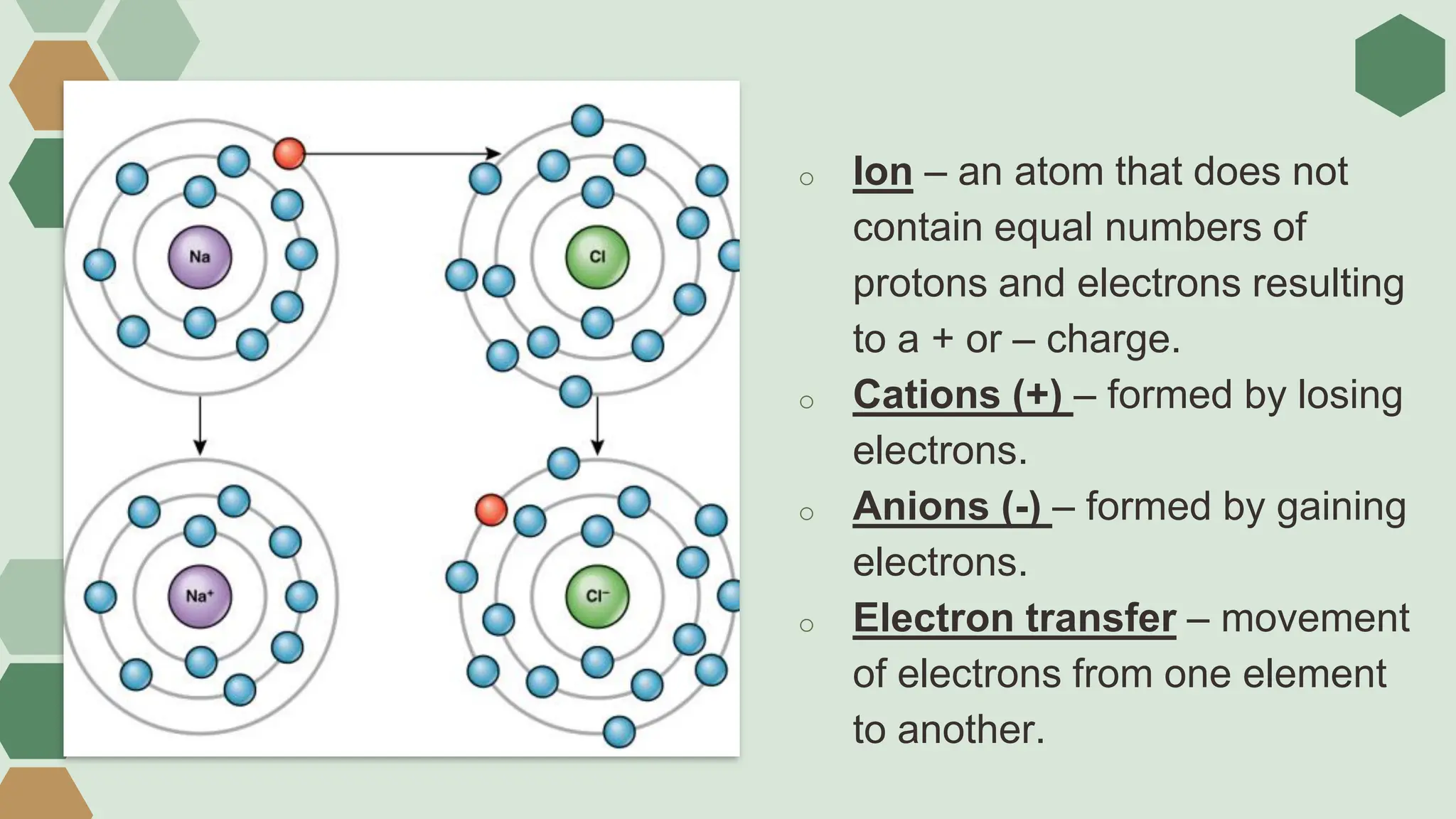 UNIT 2 Chemistry of Life: Biomolecules and water | PDF