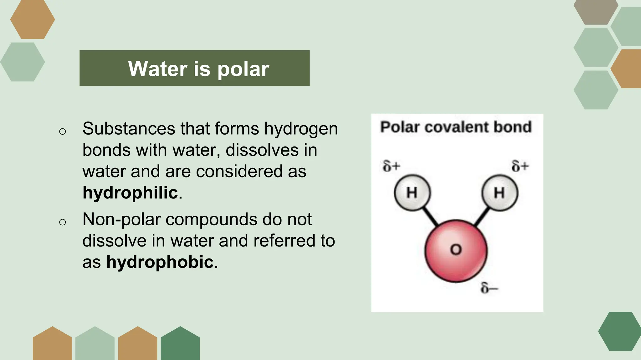 UNIT 2 Chemistry of Life: Biomolecules and water | PDF