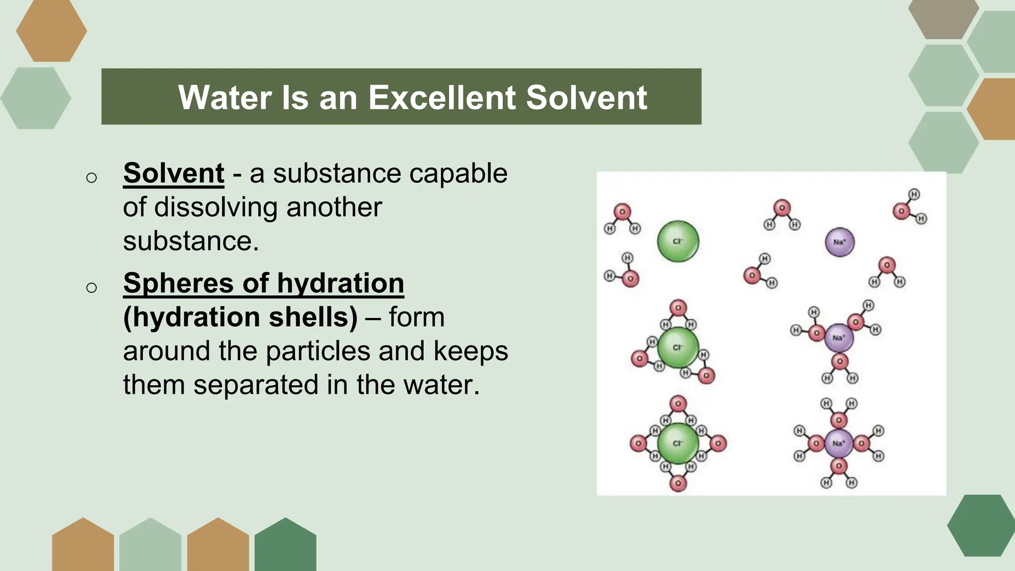 UNIT 2 Chemistry of Life: Biomolecules and water | PDF