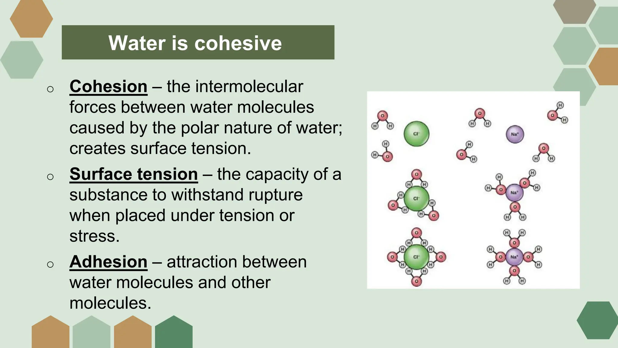 UNIT 2 Chemistry of Life: Biomolecules and water | PDF