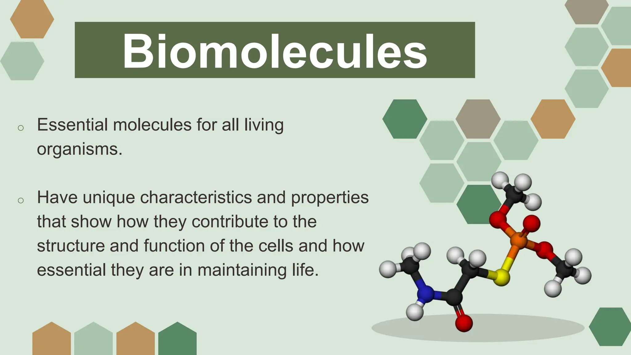 UNIT 2 Chemistry of Life: Biomolecules and water | PDF