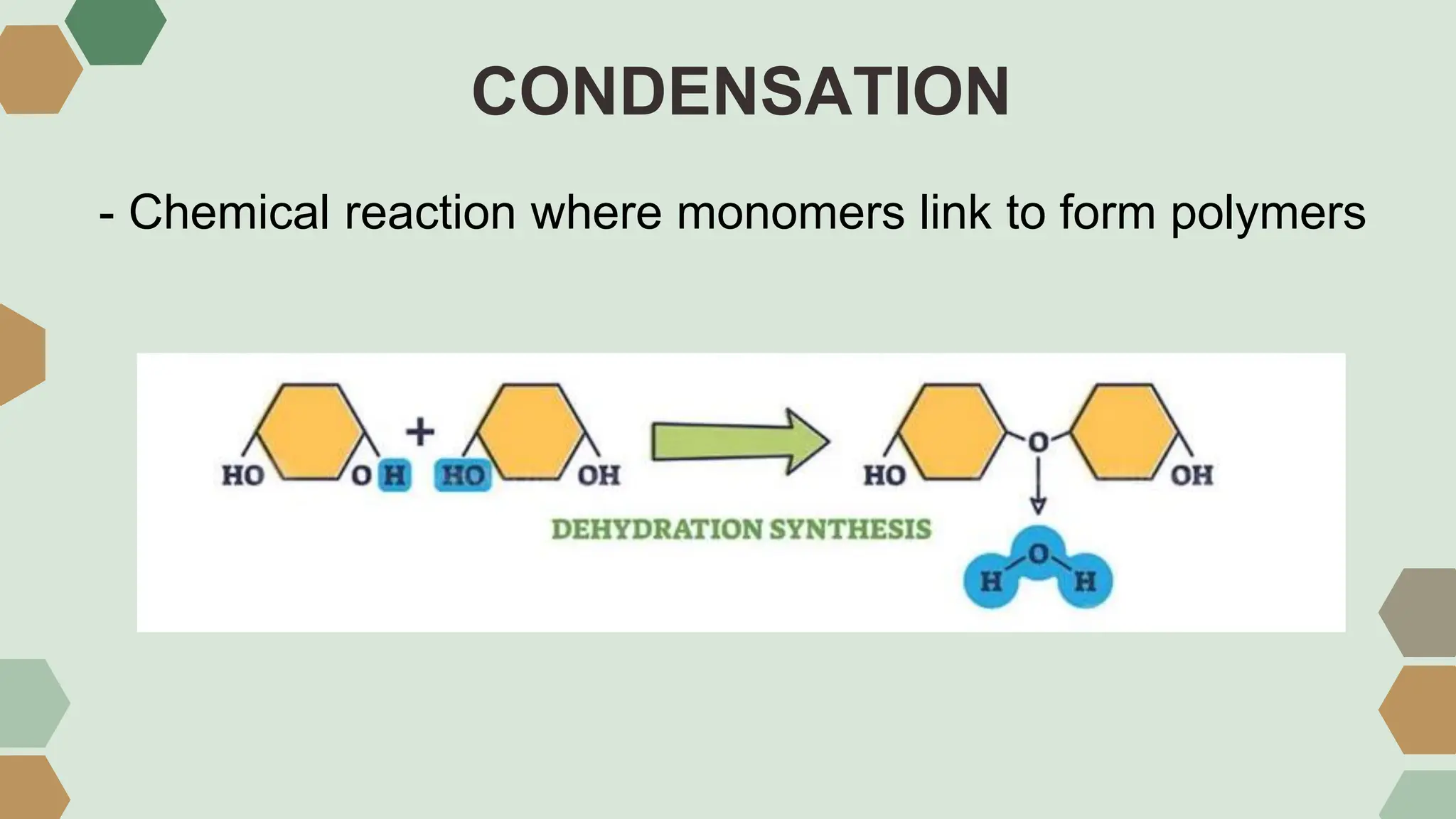 UNIT 2 Chemistry of Life: Biomolecules and water | PDF