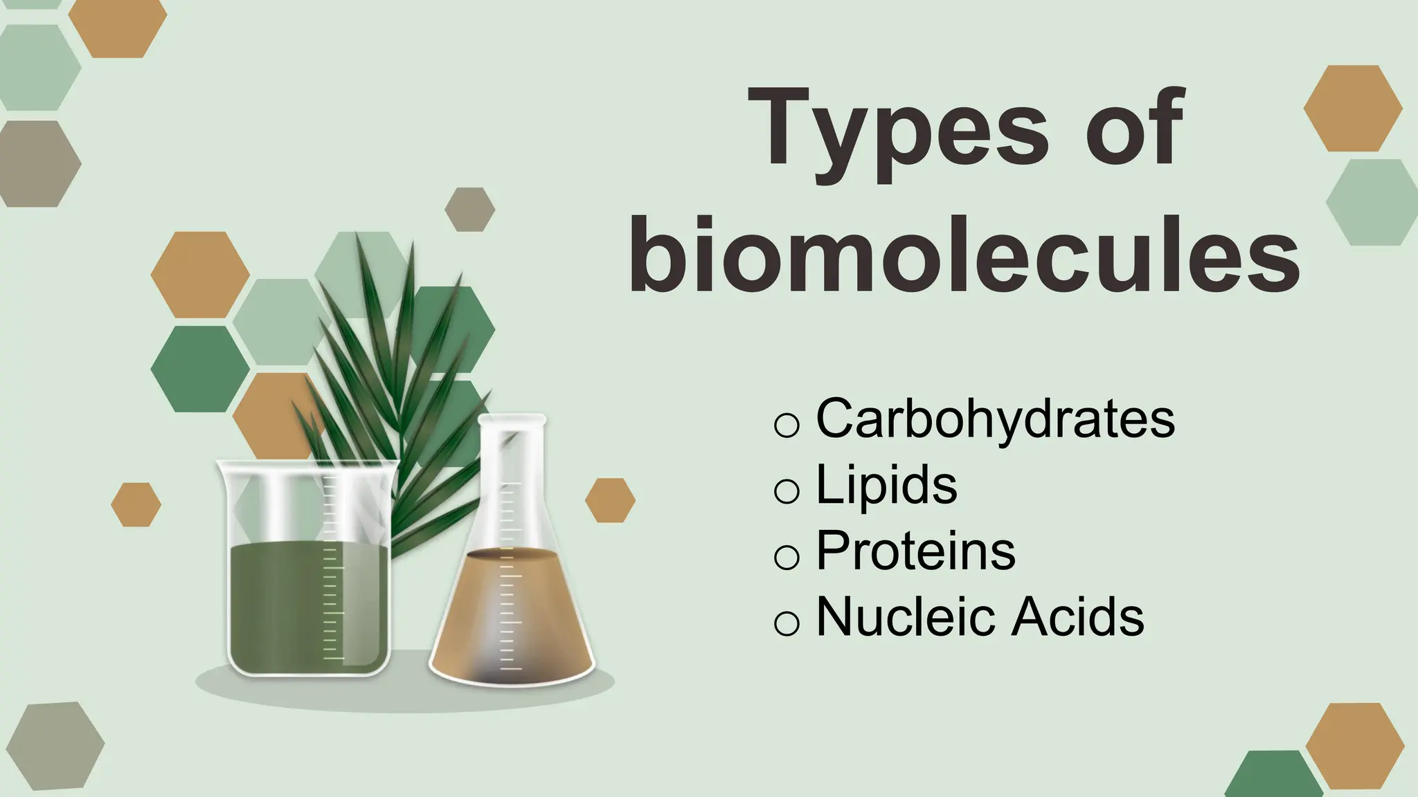 UNIT 2 Chemistry of Life: Biomolecules and water | PDF