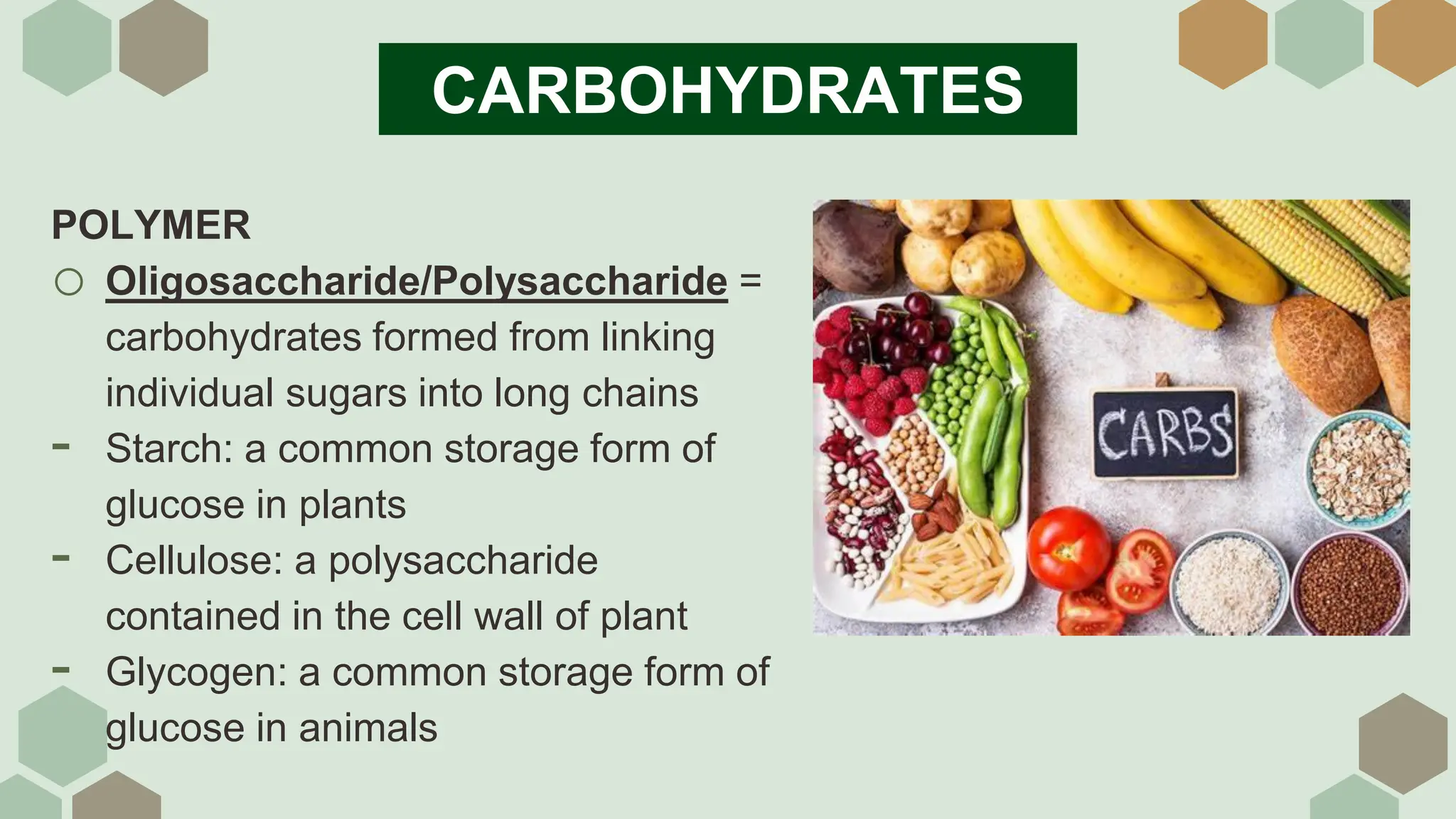 UNIT 2 Chemistry of Life: Biomolecules and water | PDF