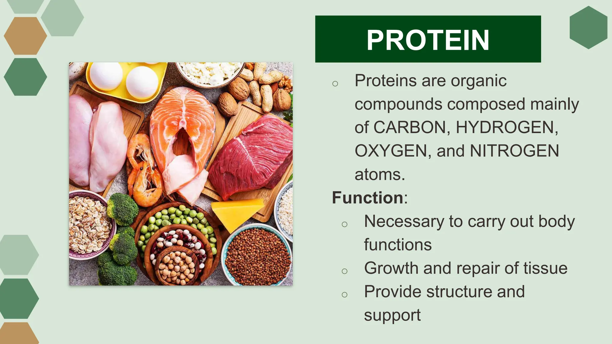 UNIT 2 Chemistry of Life: Biomolecules and water | PDF