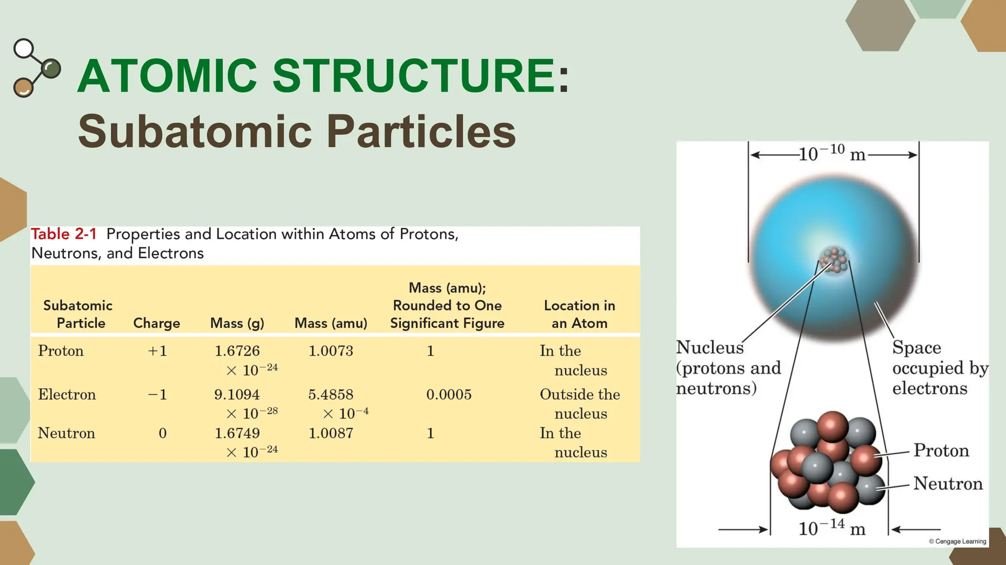 UNIT 2 Chemistry of Life: Biomolecules and water | PDF