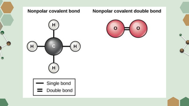 UNIT 2 Chemistry of Life: Biomolecules and water | PDF