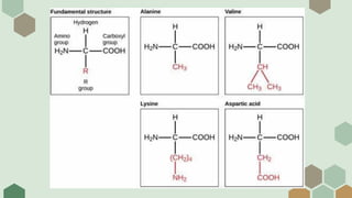 UNIT 2 Chemistry of Life: Biomolecules and water | PDF