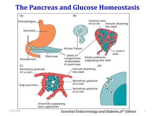 Unit 2_Classif and Pathoge. of DM2.pptx