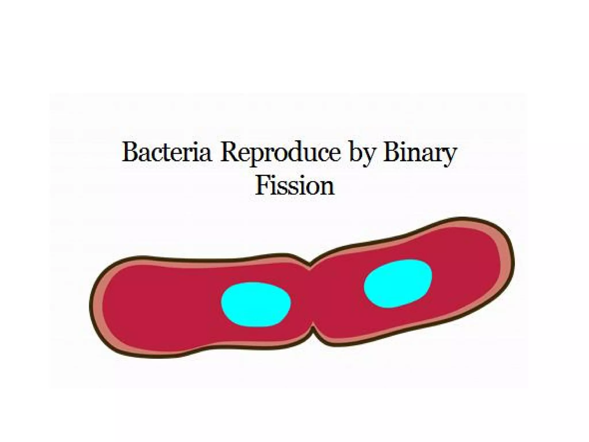 Unit 2 Control of Microbial Growth BSN.pdf