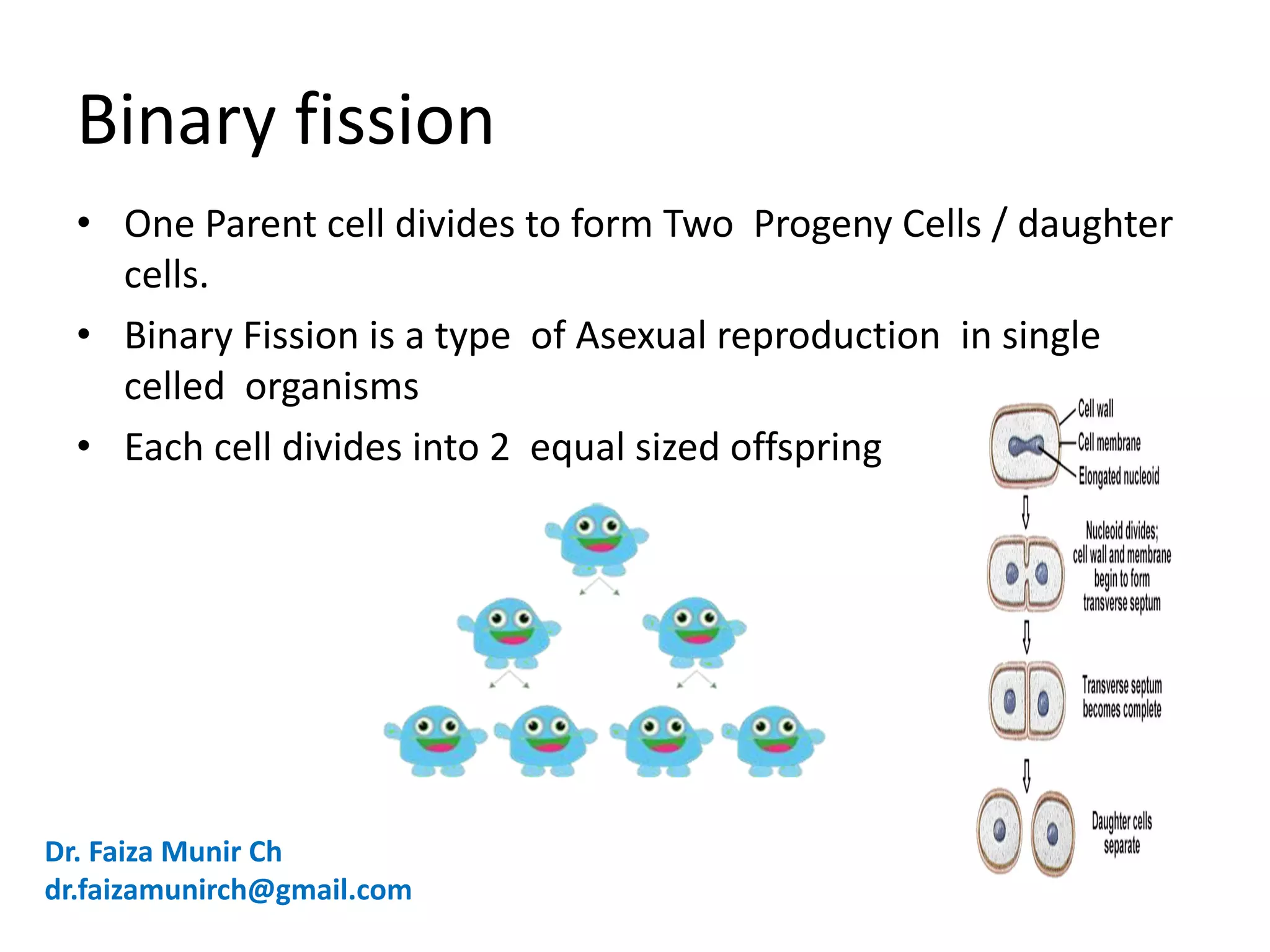 Unit 2 Control of Microbial Growth BSN.pdf