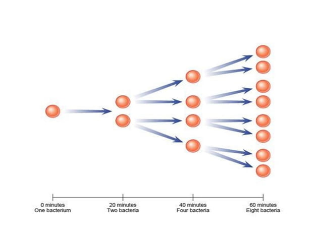 Unit 2 Control of Microbial Growth BSN.pdf