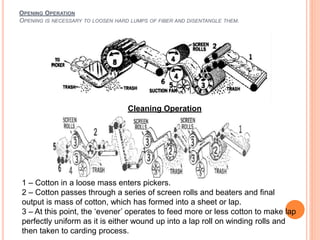 Natural Fiber to Yarn Cotton | PPT