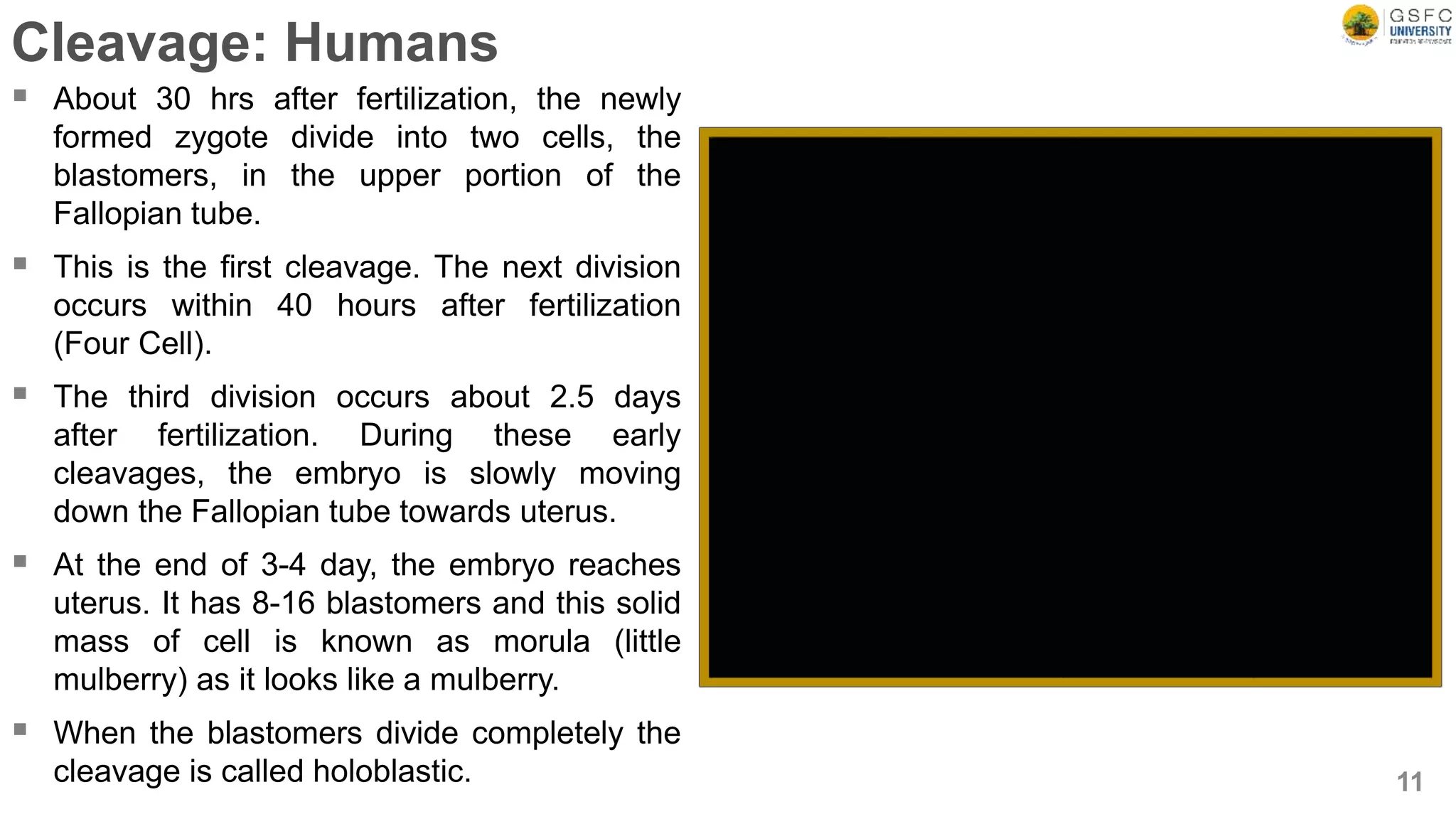 Cleavage: Definition, types, and mechanism | PPTX