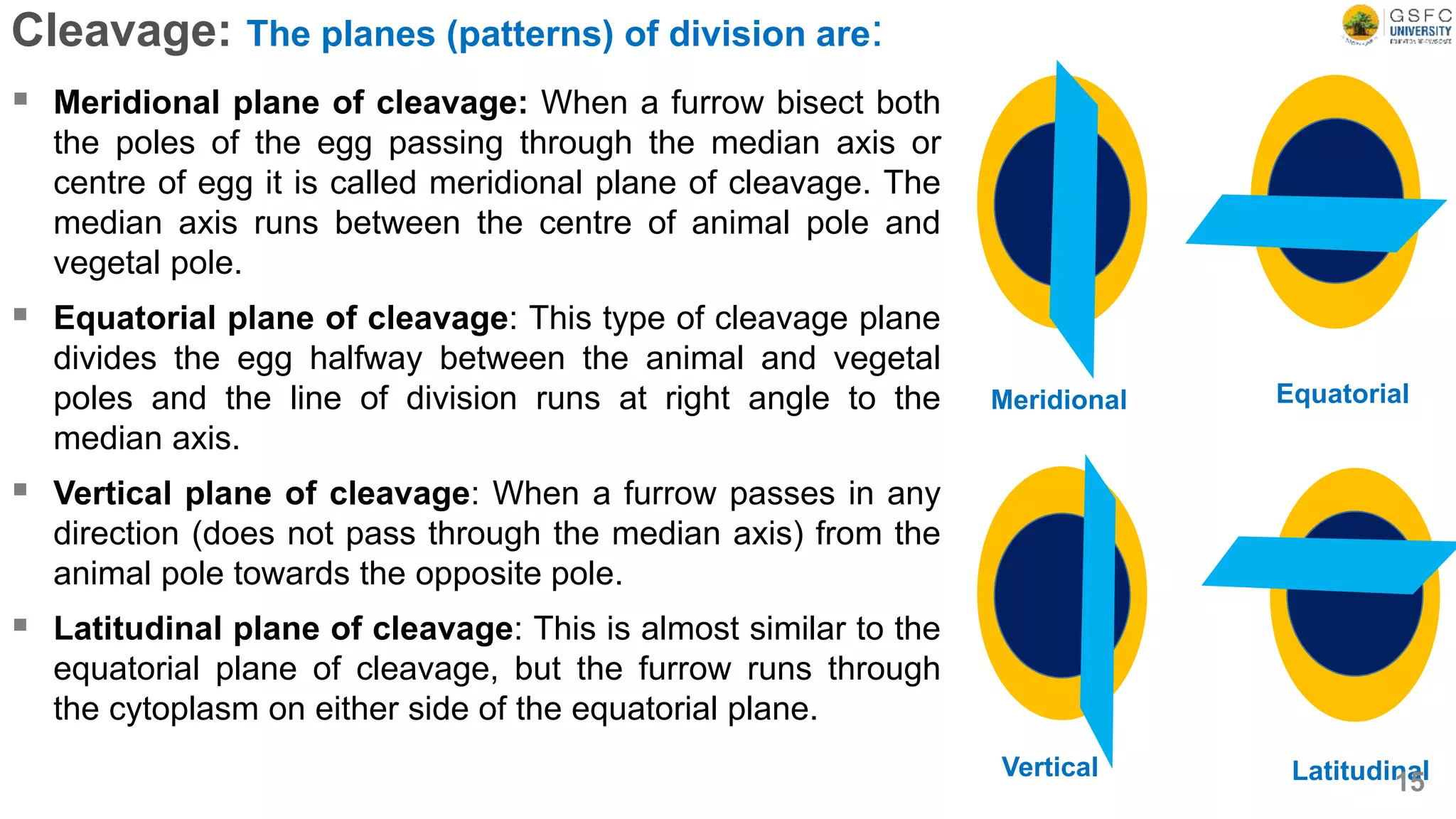 Cleavage: Definition, types, and mechanism | PPTX
