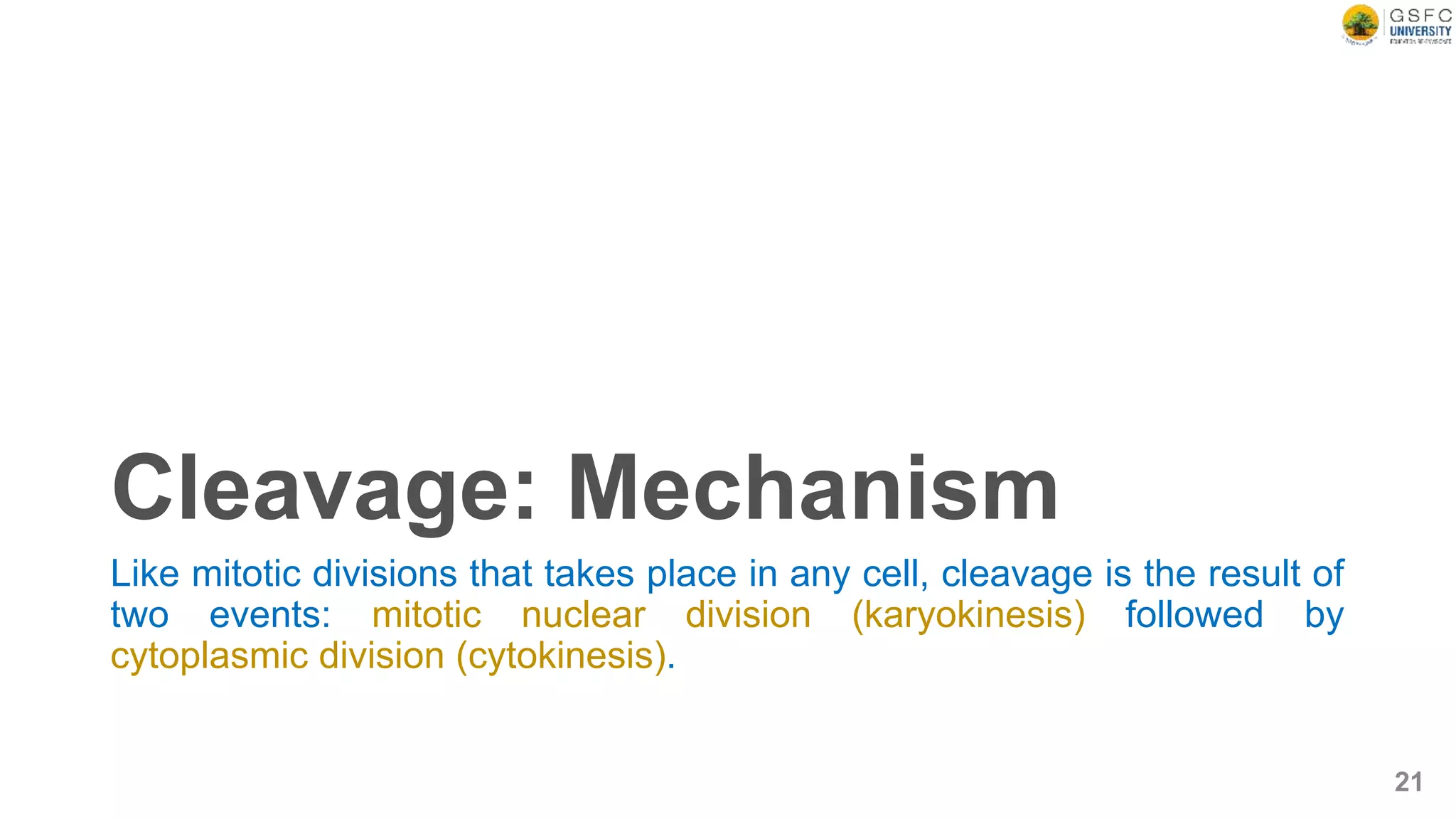Cleavage: Definition, types, and mechanism | PPTX